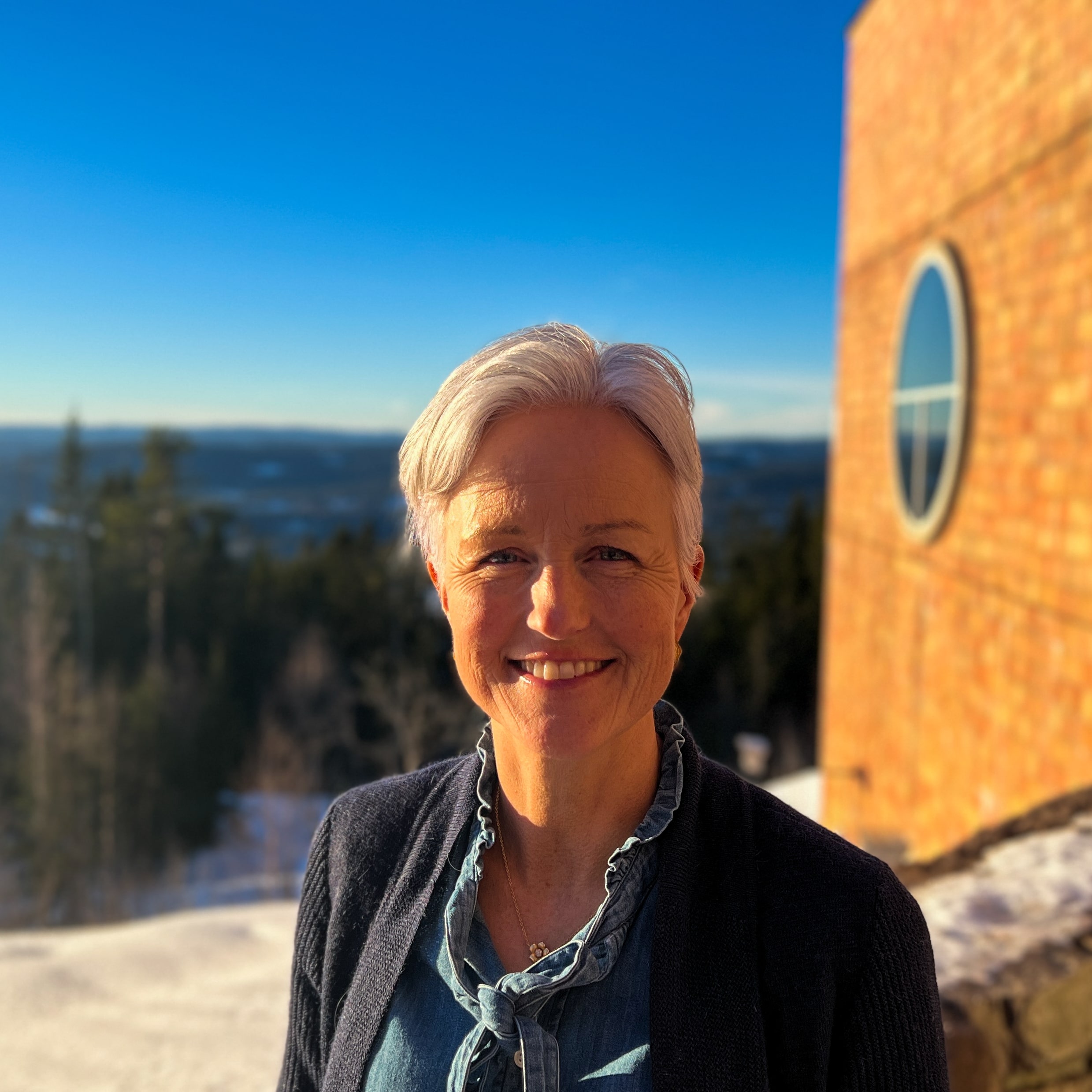 About - Telenor Towers